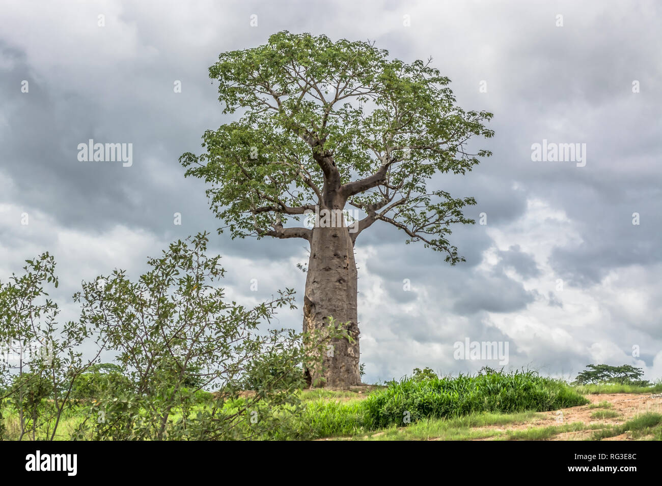 Trip through Angola's lands 2018: View with typical tropical landscape ...