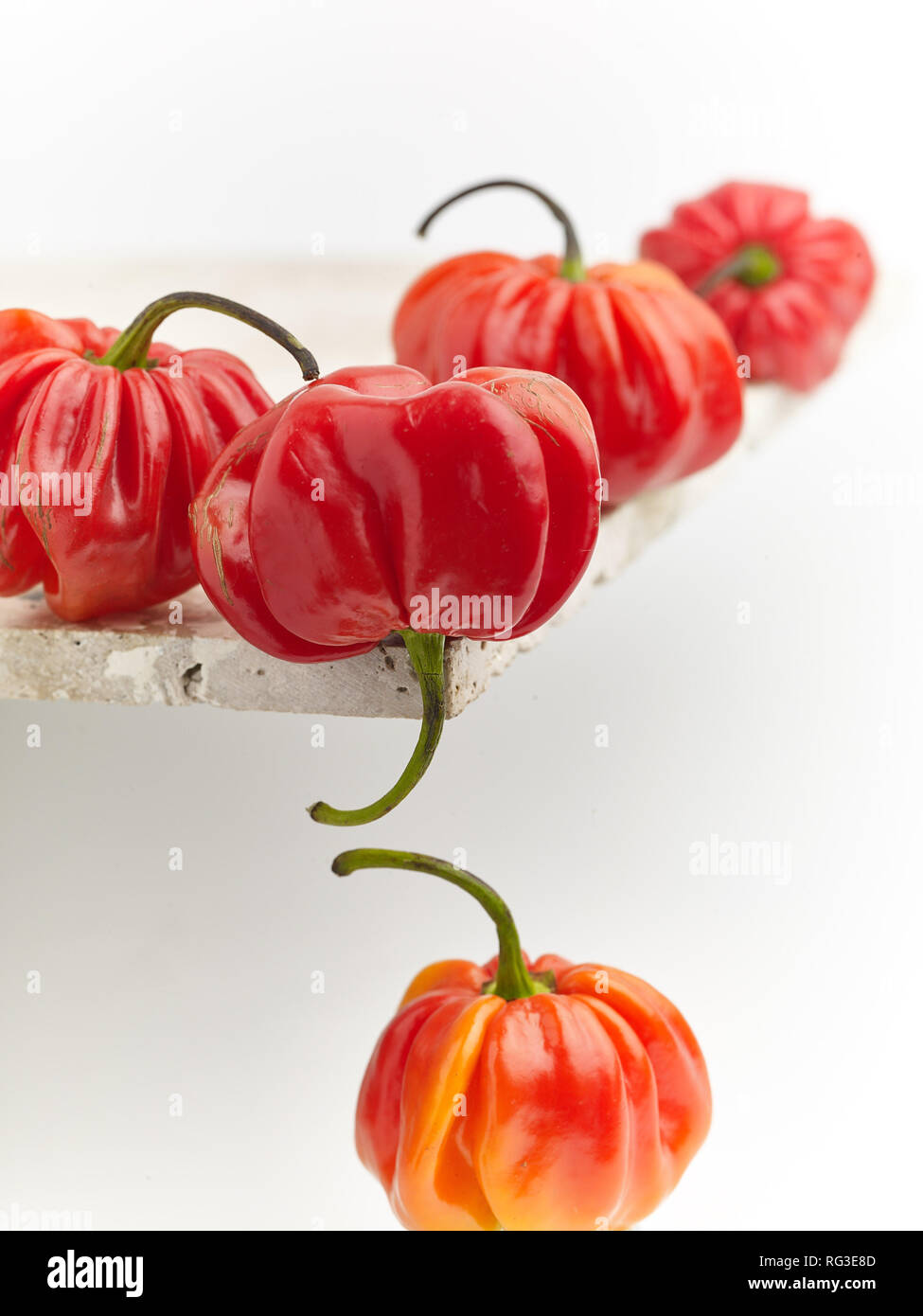 Colourful Scotch Bonnet hot pepper, food still-life photograph Stock ...