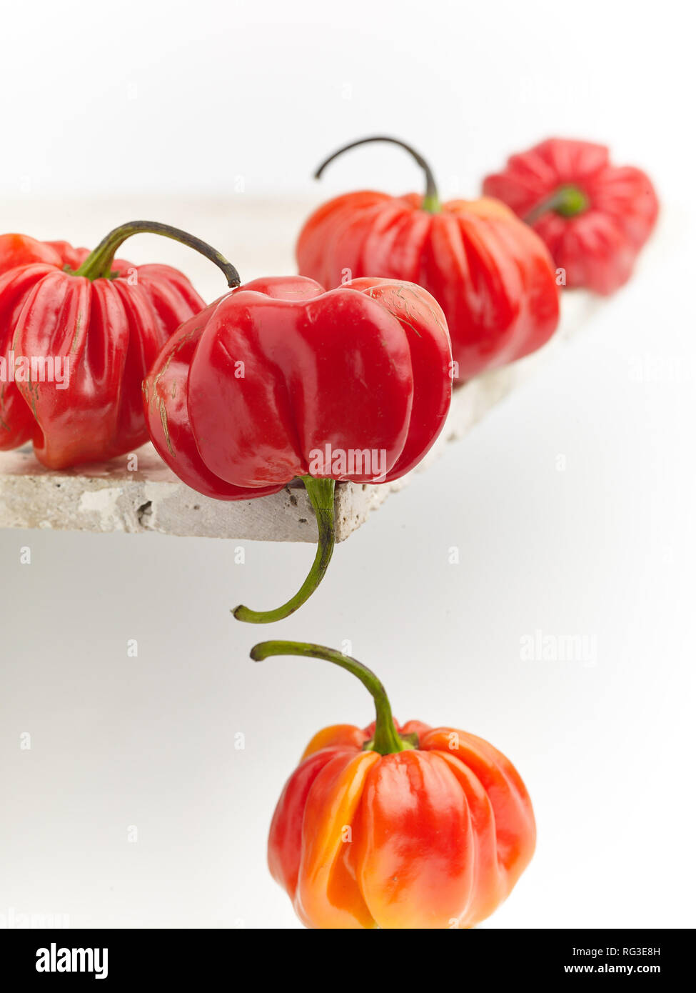 Colourful Scotch Bonnet hot pepper, food still-life photograph Stock ...