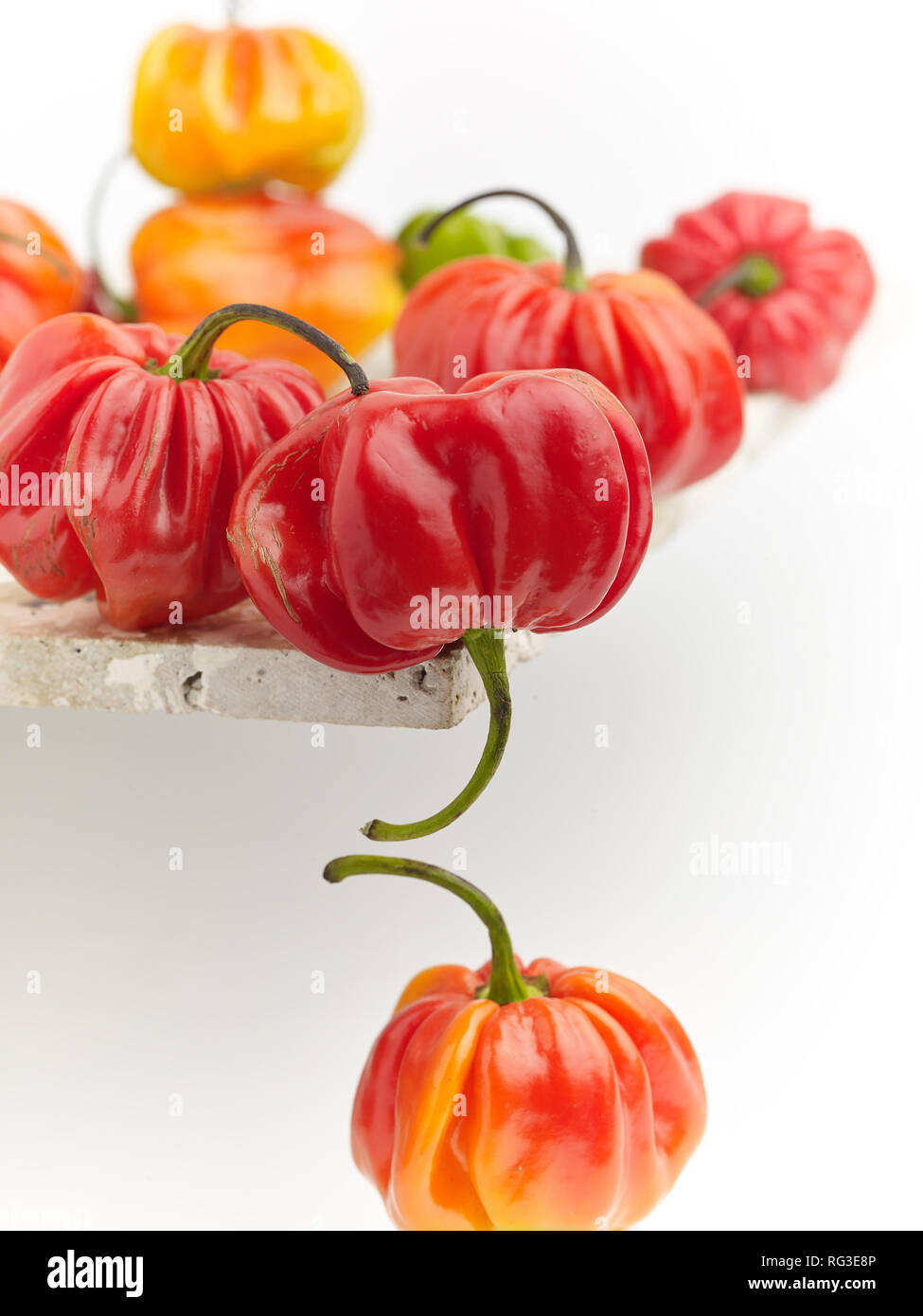 Colourful Scotch Bonnet hot pepper, food still-life photograph Stock ...