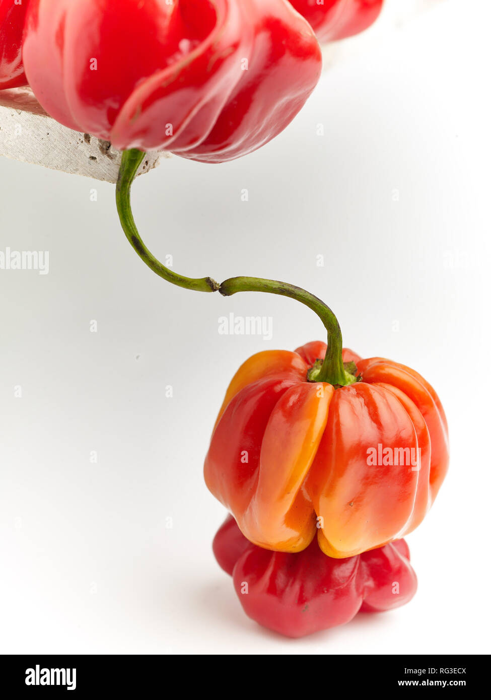 Scotch bonnet pepper and mottled marble surface against light ...