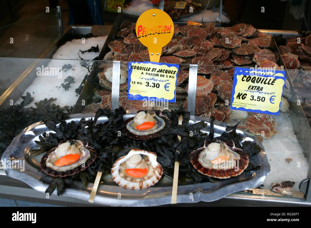 FRA, France, Normandy, Cherbourg: Scallops in a fish shop Stock Photo ...