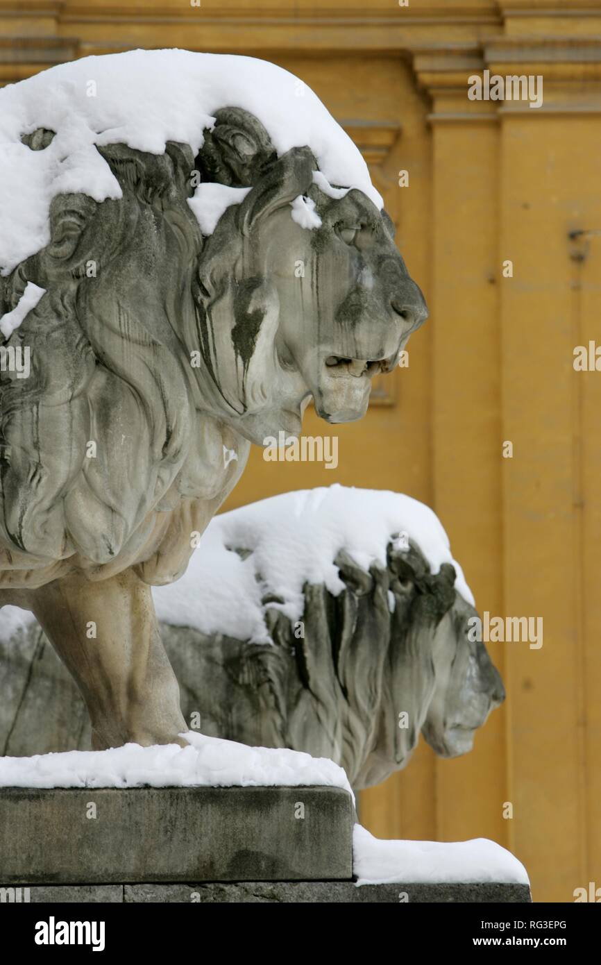 Lionking hi-res stock photography and images - Alamy