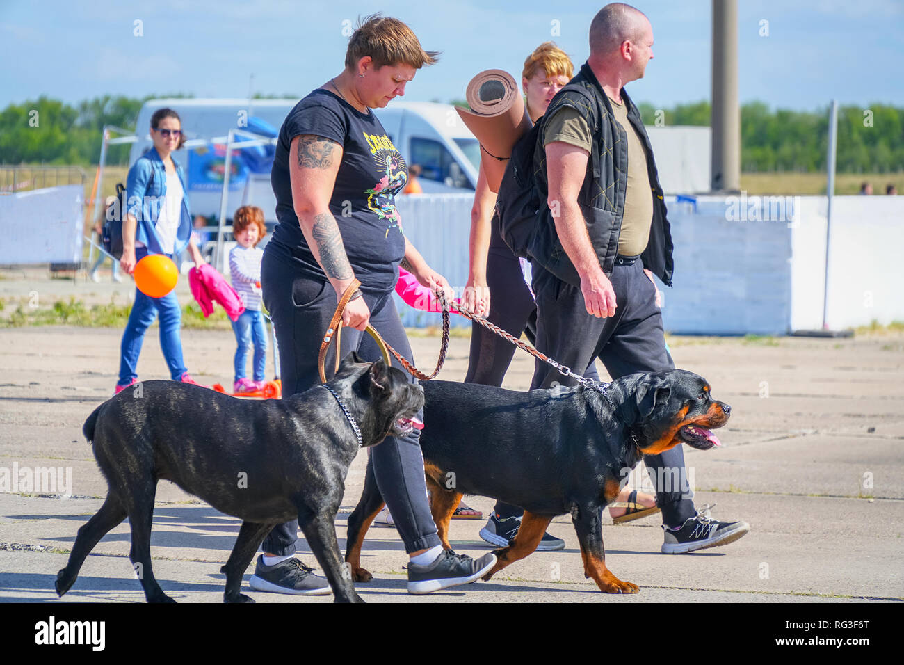Rottweiler Aggressive High Resolution Stock Photography and Images - Alamy