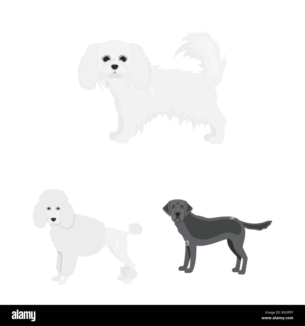 cute,puppy,character,animal,pet,pug,face,funny,mascot,set,vector,icon ...