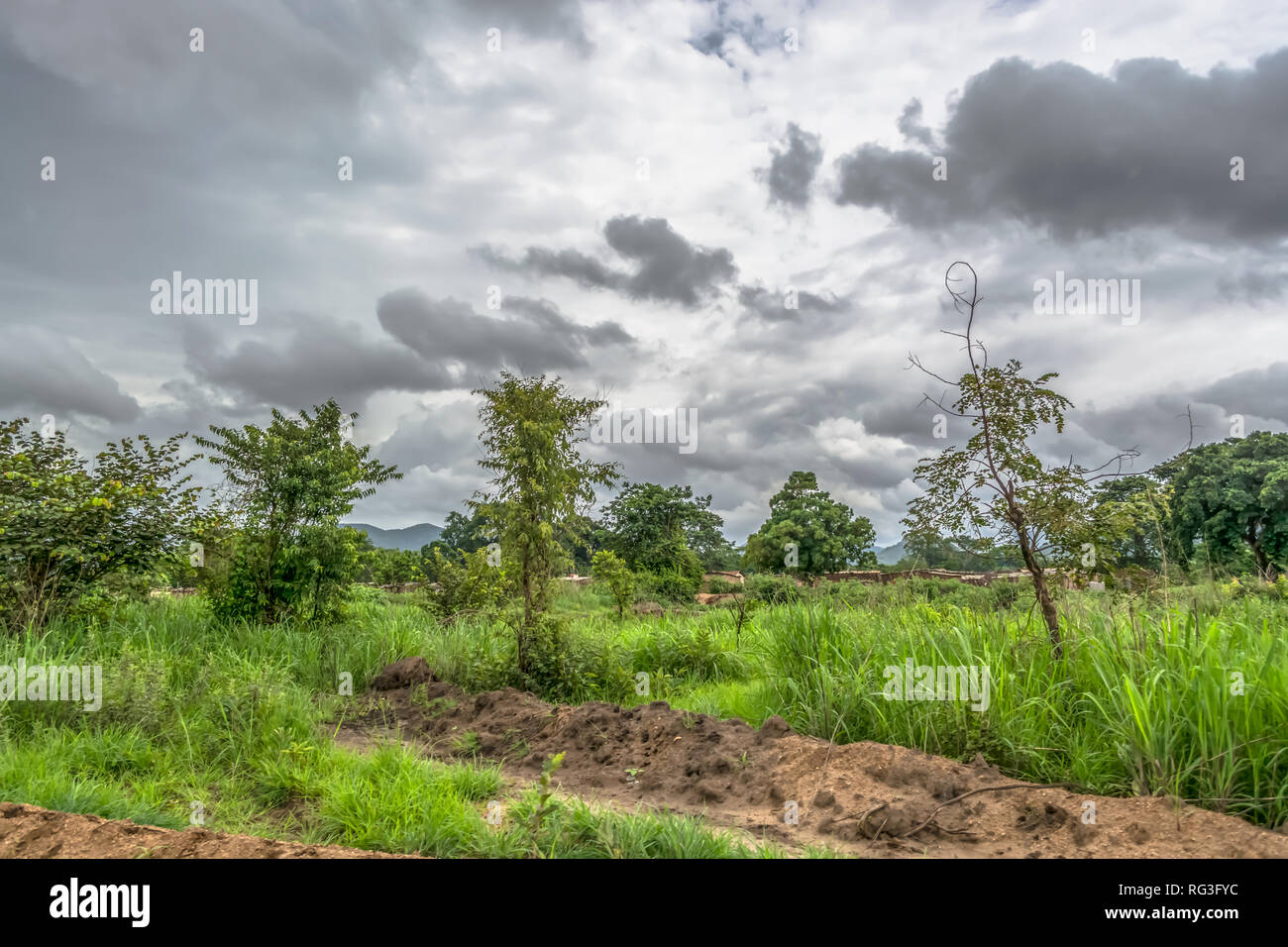 Trip through Angola's lands 2018: View with typical tropical landscape ...