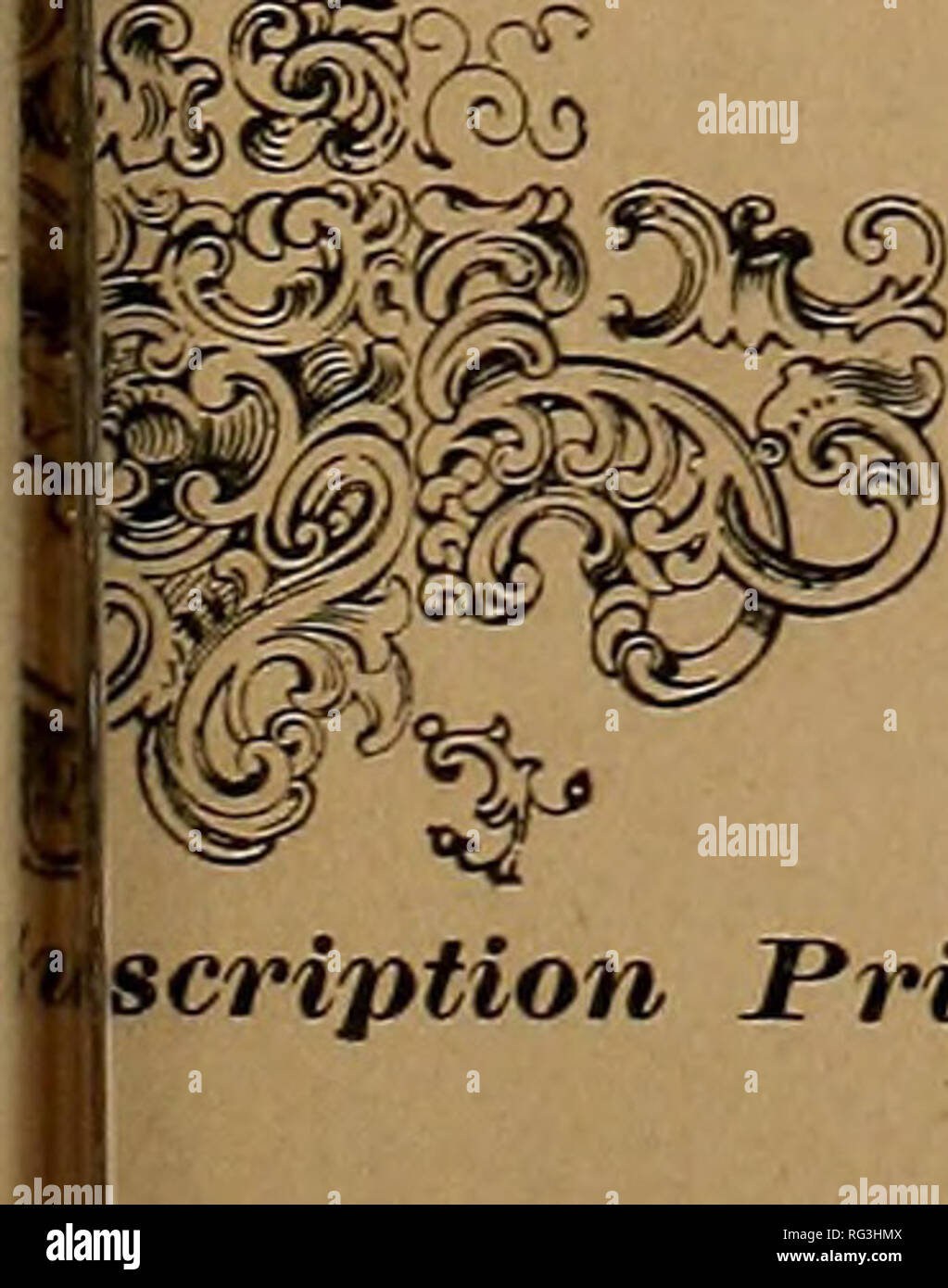 Berger lake with berger plants hi-res stock photography and images - Alamy