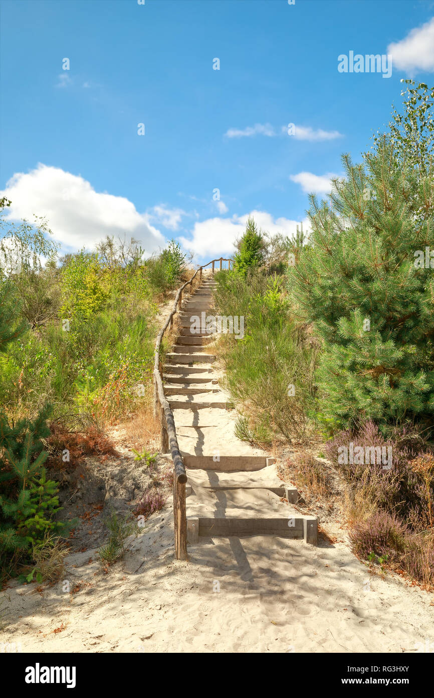 wooden stairs on hill and blue sky in summer Stock Photo - Alamy