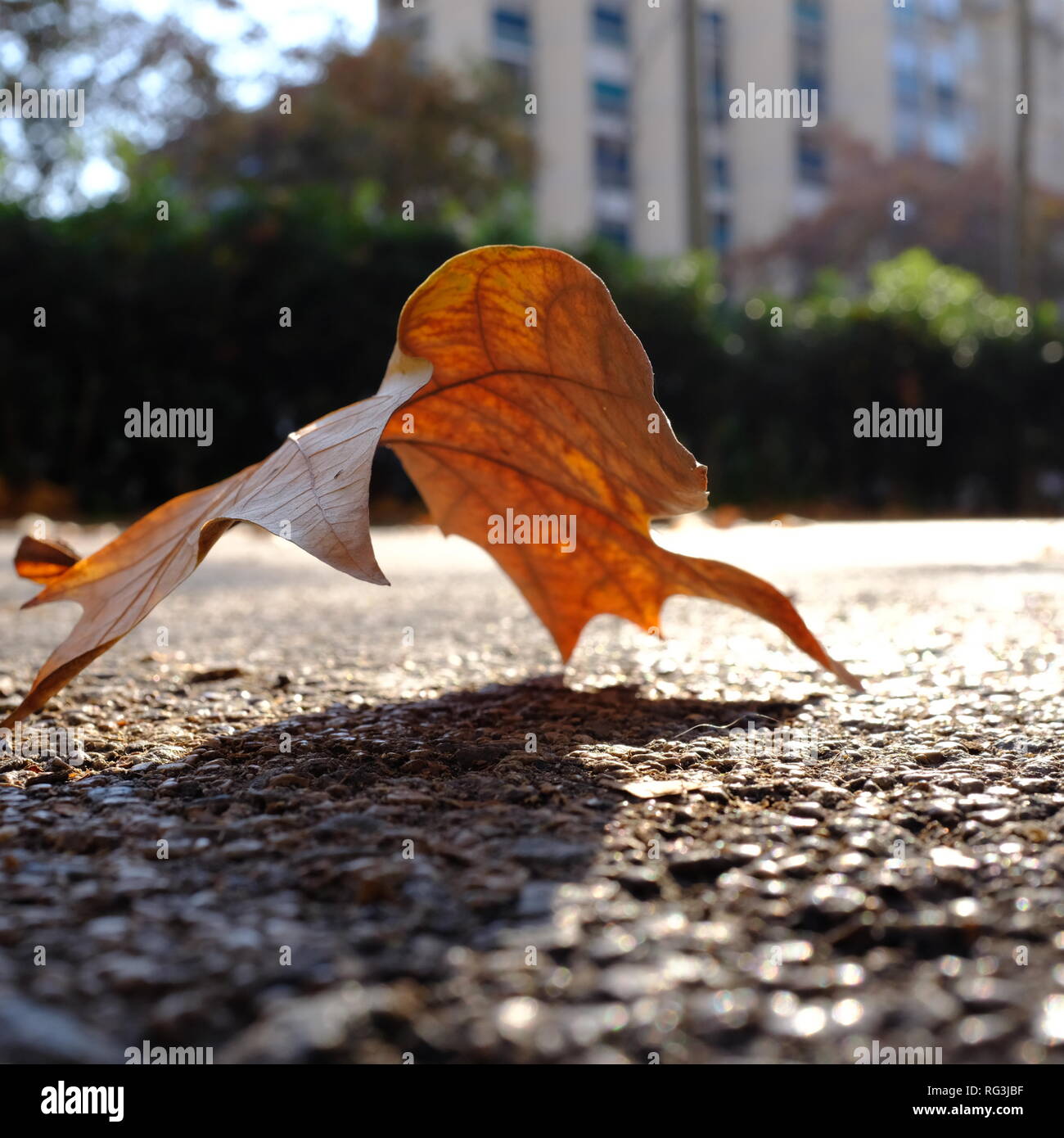 Shadows form buildings hi-res stock photography and images - Alamy