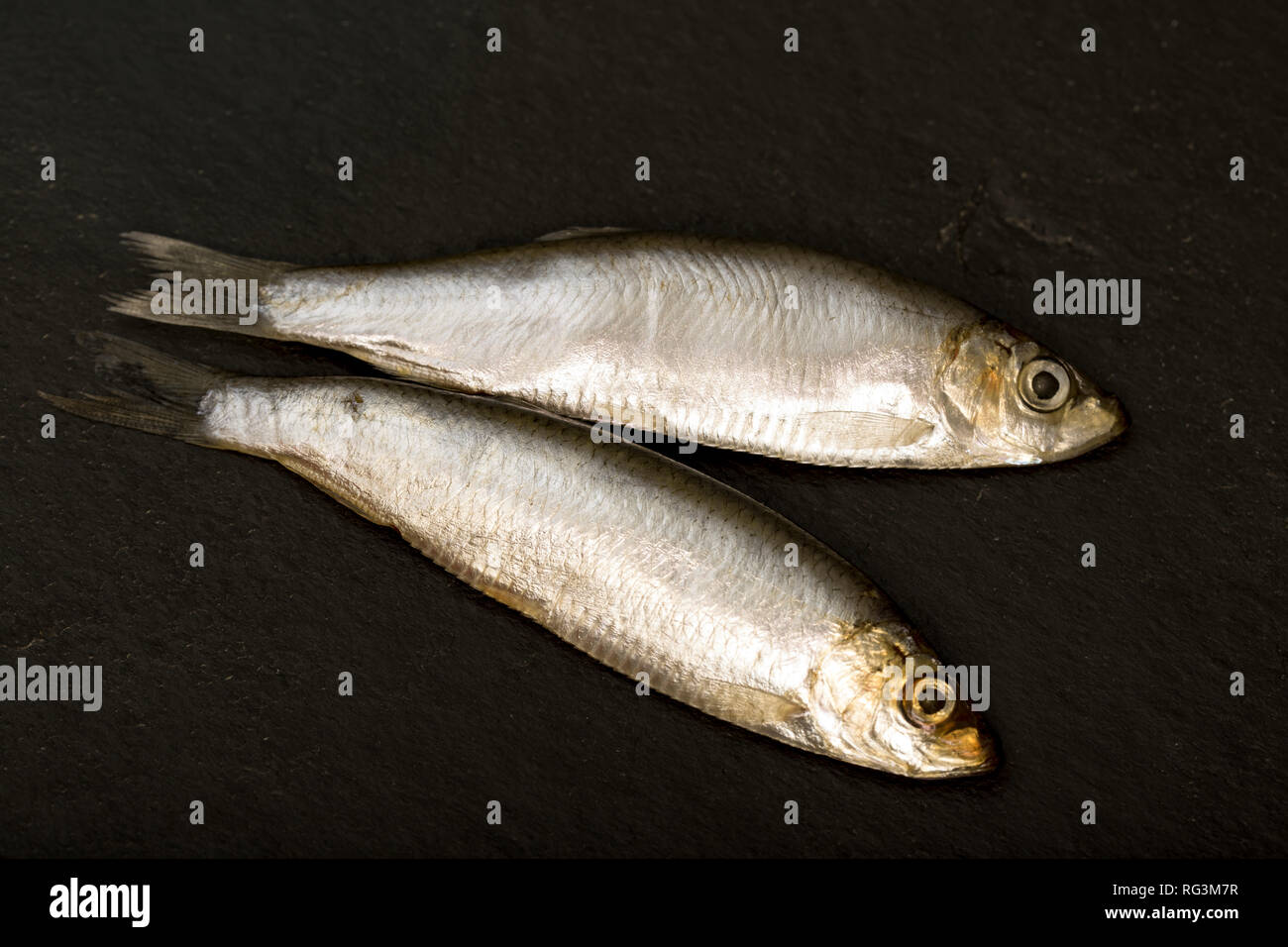 Sprats, Sprattus sprattus, bought from a supermarket in the UK. Sprats ...