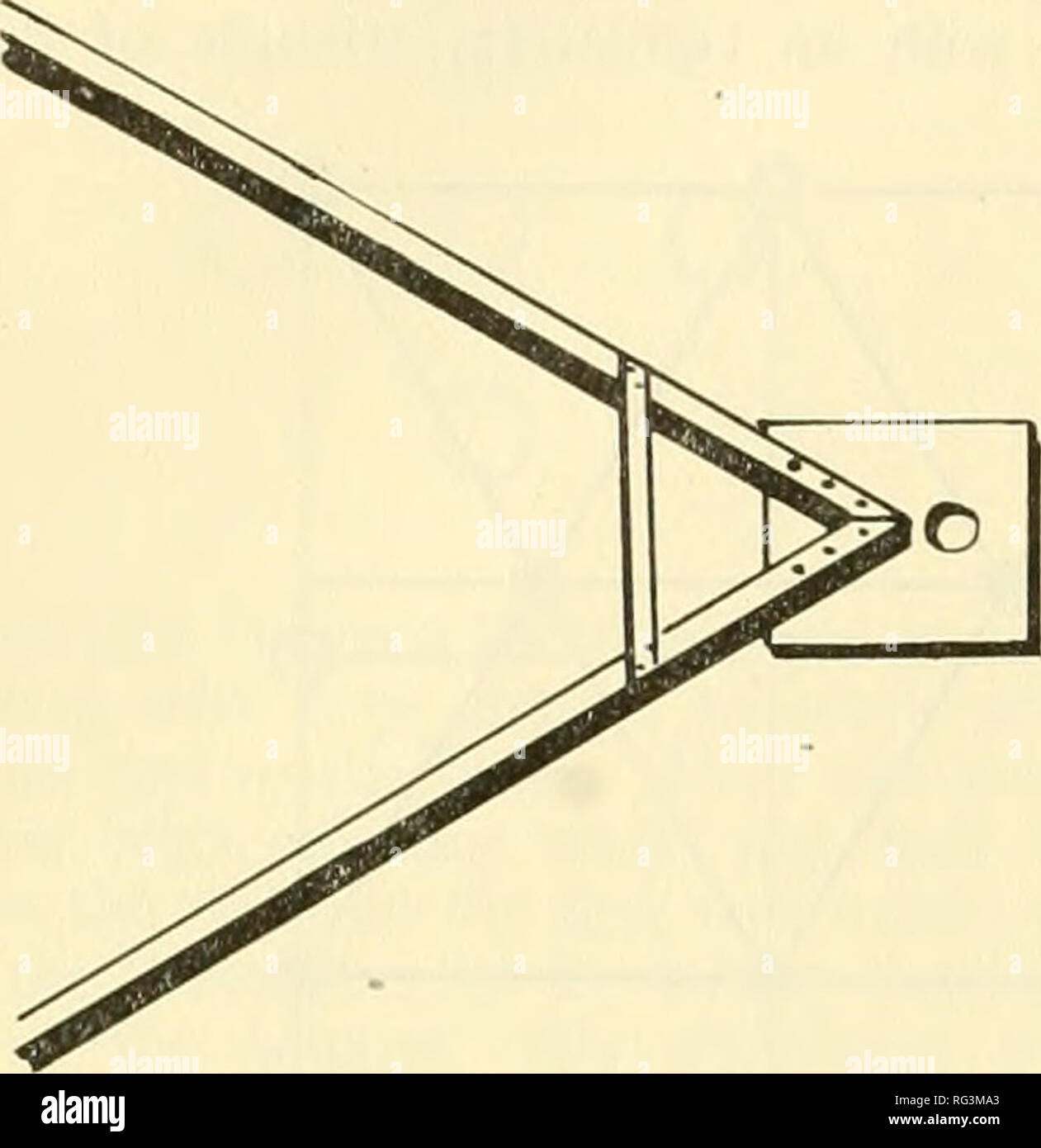 Five corner fruit hi-res stock photography and images - Alamy