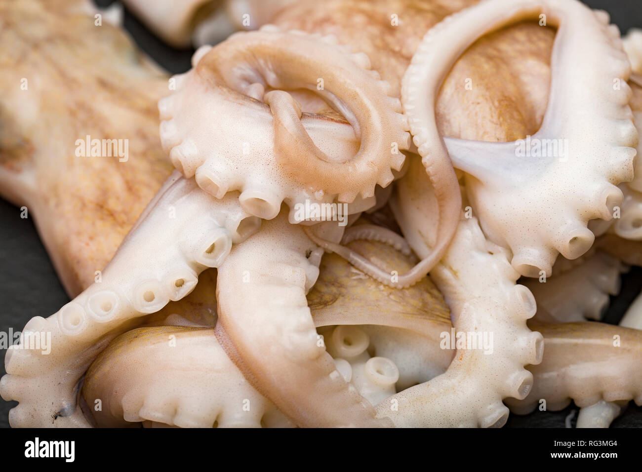 The tentacles of two raw lesser, or curled octopus, Eledone cirrhosa ...