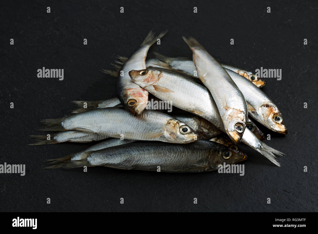 Sprattus sprattus uk hi-res stock photography and images - Alamy