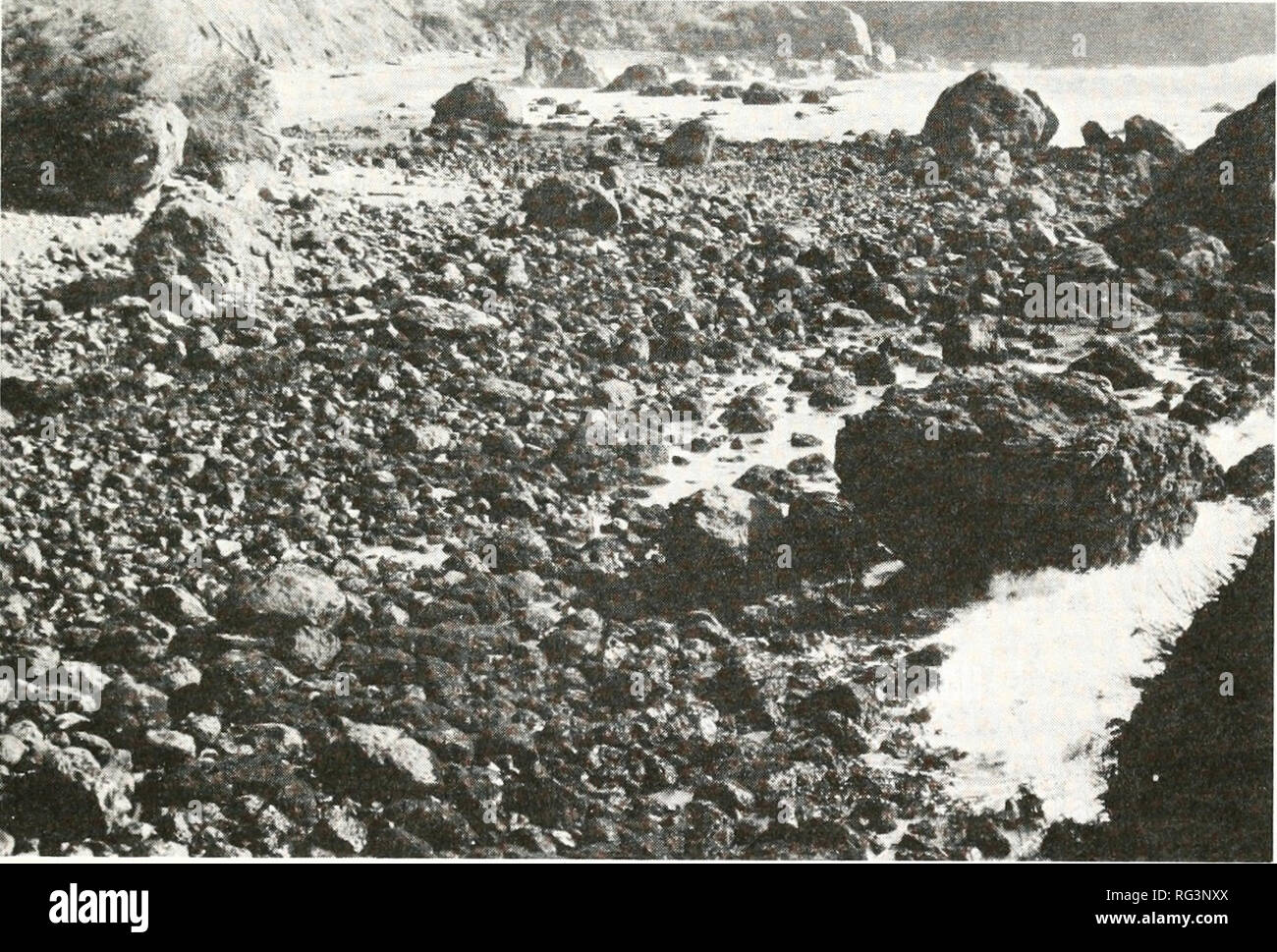 Intertidal zones hi-res stock photography and images - Alamy