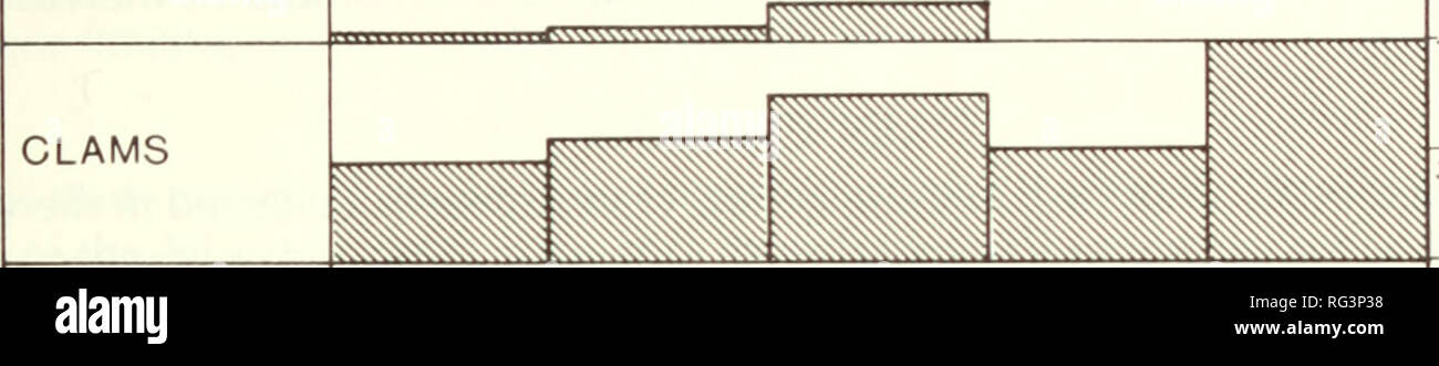 Fish stomach contents hi-res stock photography and images - Alamy