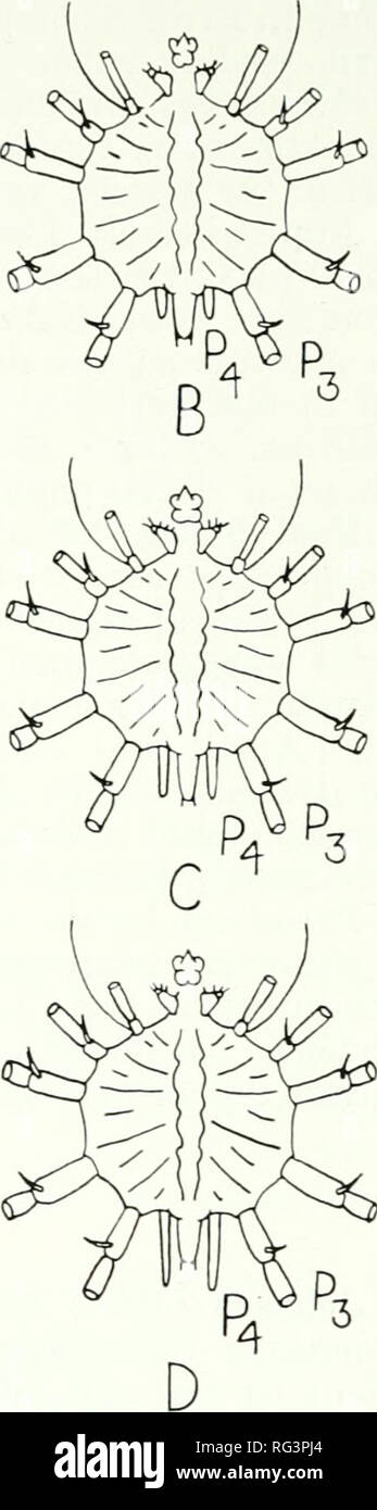 . California fish and game. Fisheries -- California; Game and game ...