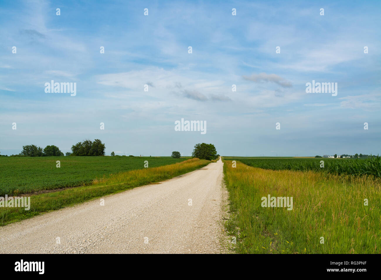 Rural dirt road in Central Illinois countryside Stock Photo - Alamy