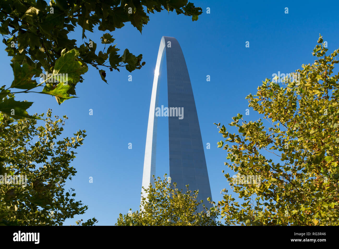 The Gateway Arch through the leaf covered trees. St. Louis, Missouri ...