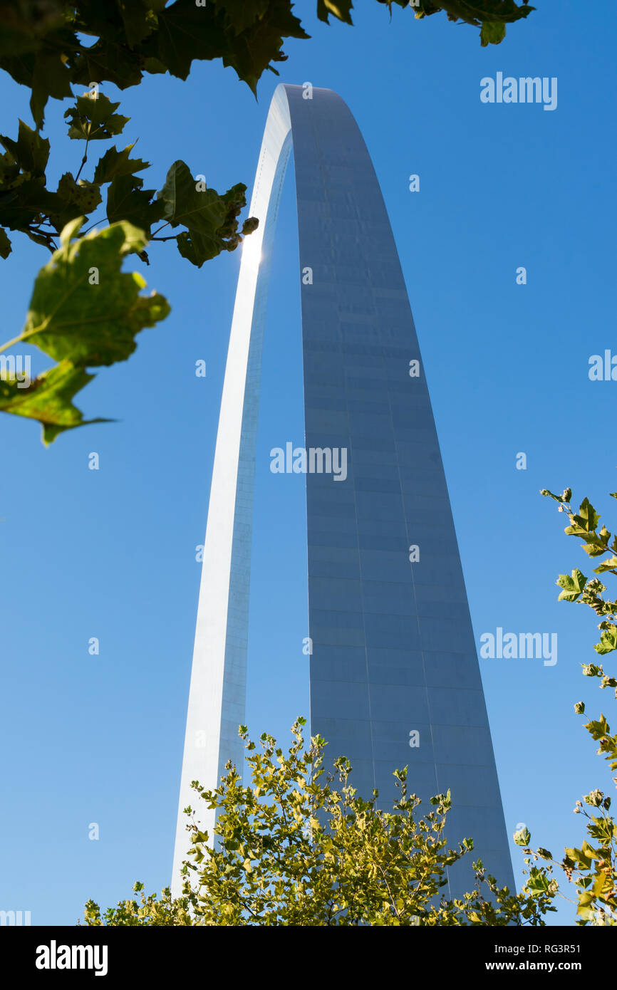 The Gateway Arch through the leaf covered trees. St. Louis, Missouri ...