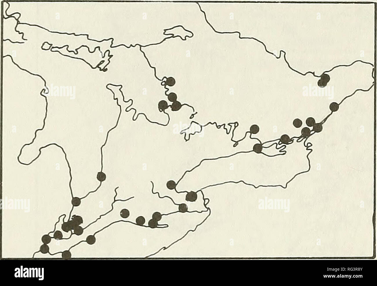 Commonly observed fish species hi-res stock photography and images - Alamy