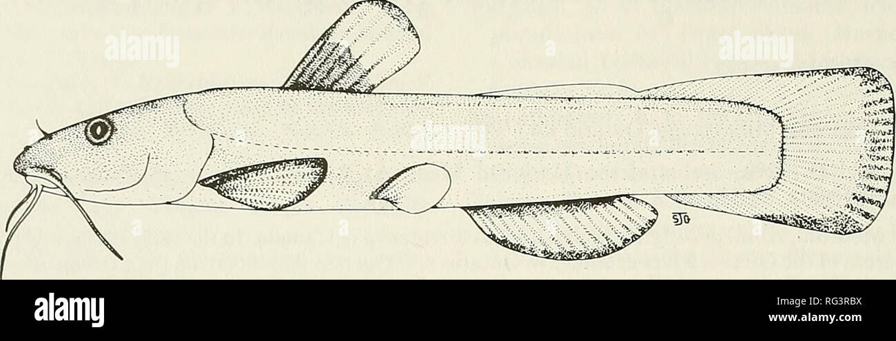 . The Canadian field-naturalist. 30 The Canadian Field-Naturalist Vol ...