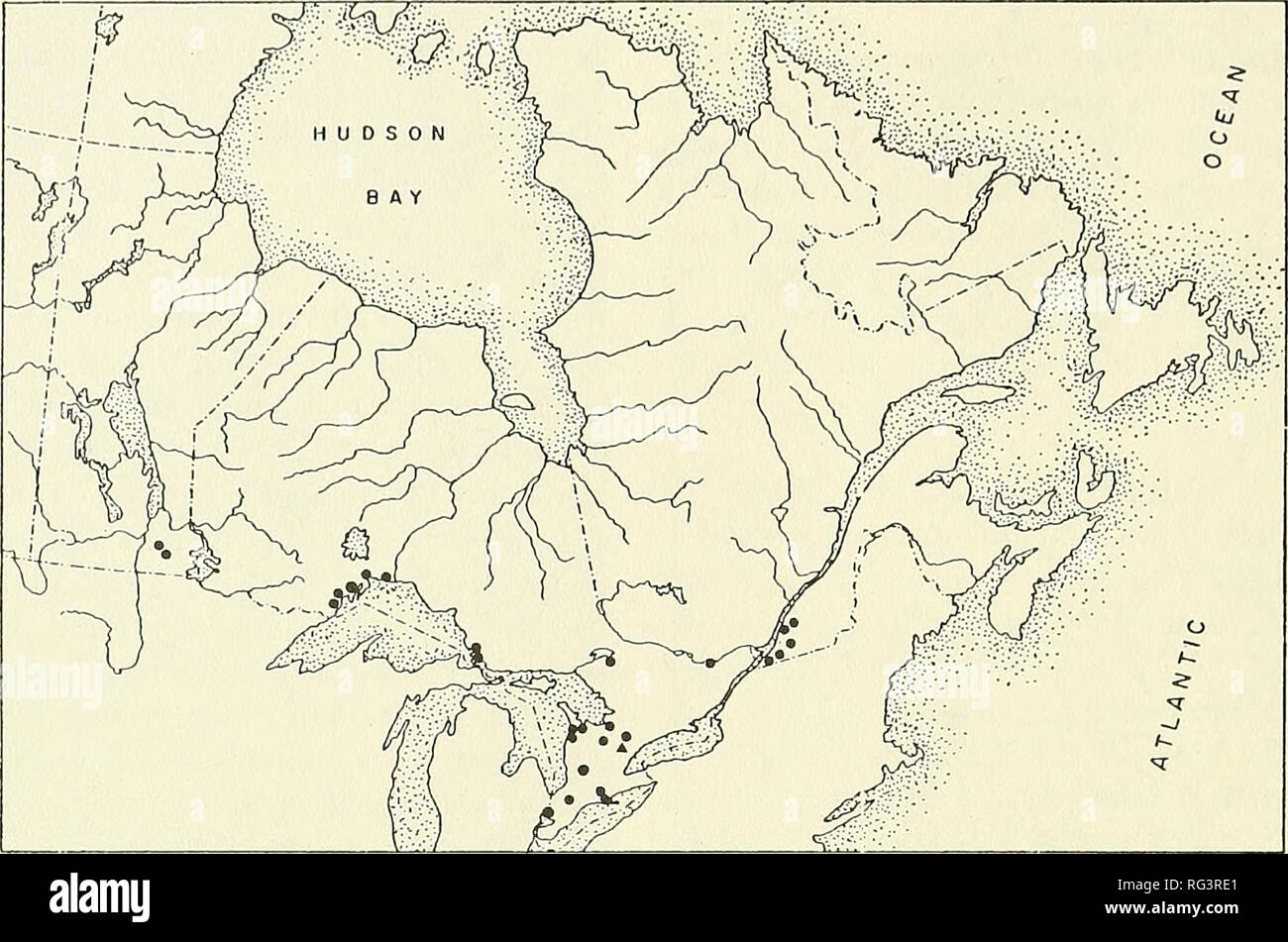 . The Canadian field-naturalist. 10 The Canadian Field-Naturalist Vol ...
