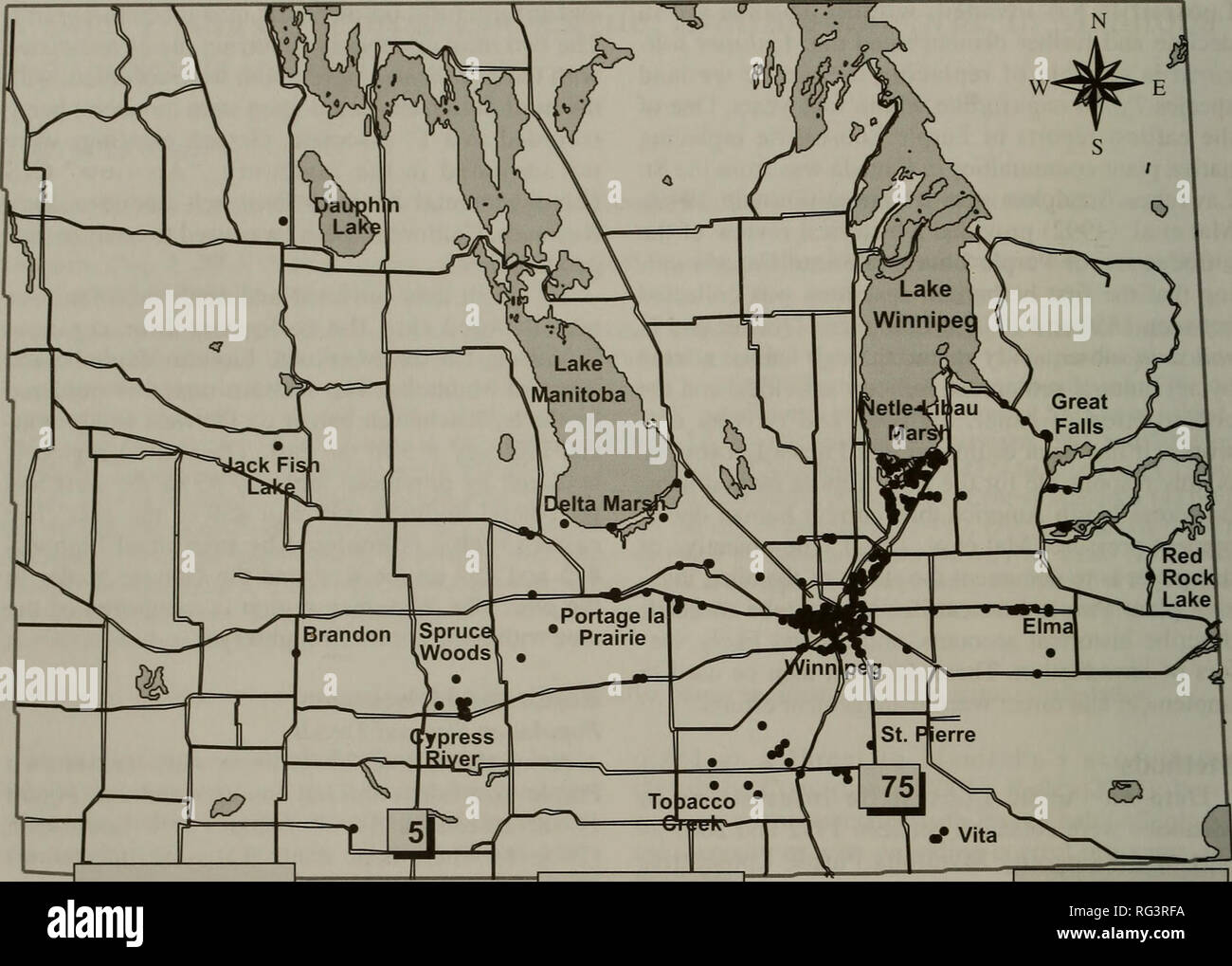 Netley marsh hi-res stock photography and images - Alamy