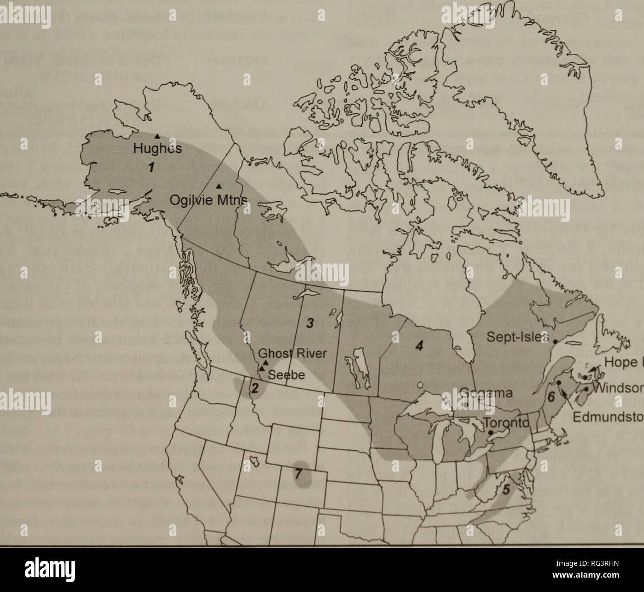 Sorex monticolus hi-res stock photography and images - Alamy