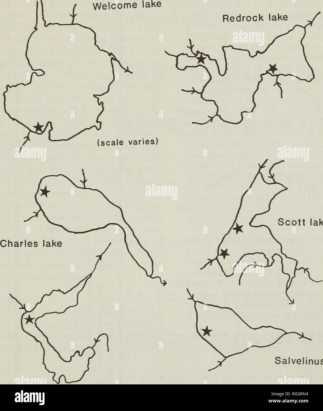 . The Canadian field-naturalist. Natural history. Scott lake Salvelinus ...