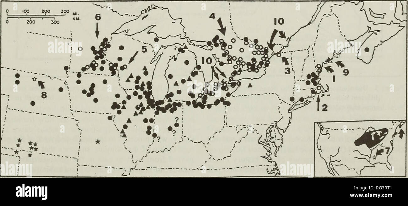1973 al 1 hi-res stock photography and images - Alamy