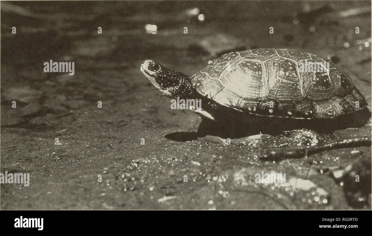 . The Canadian field-naturalist. Natural history. 1994 Herman, Power ...