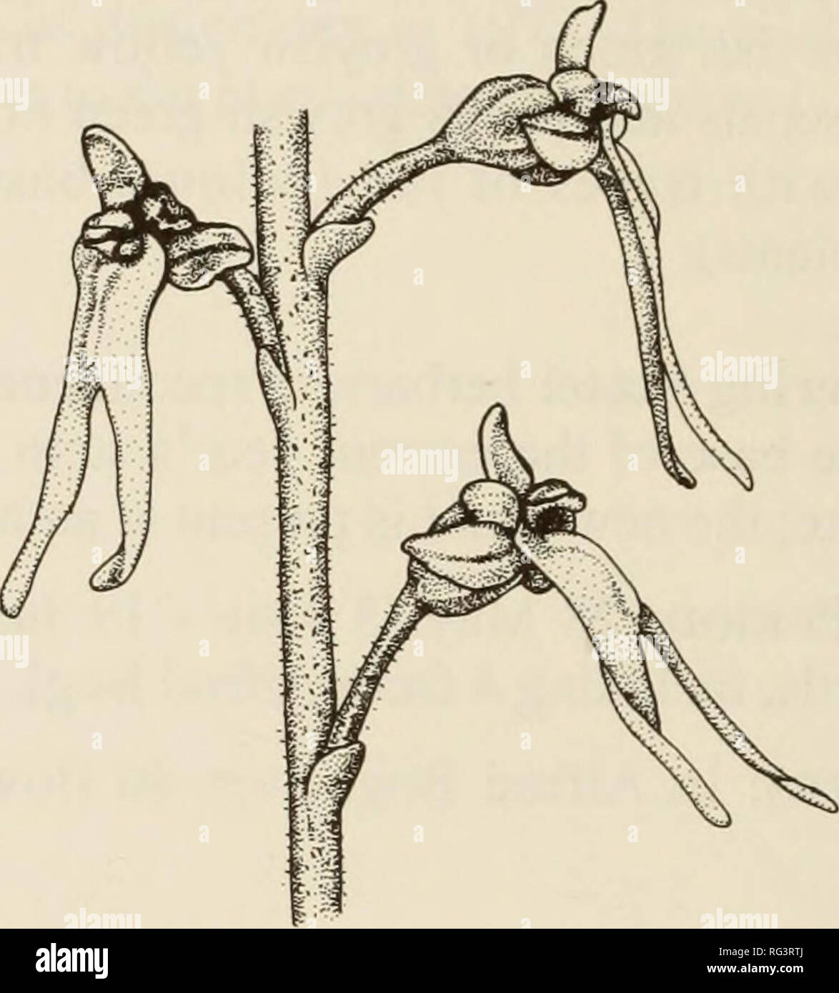 United counties of prescott and russell hi-res stock photography and ...