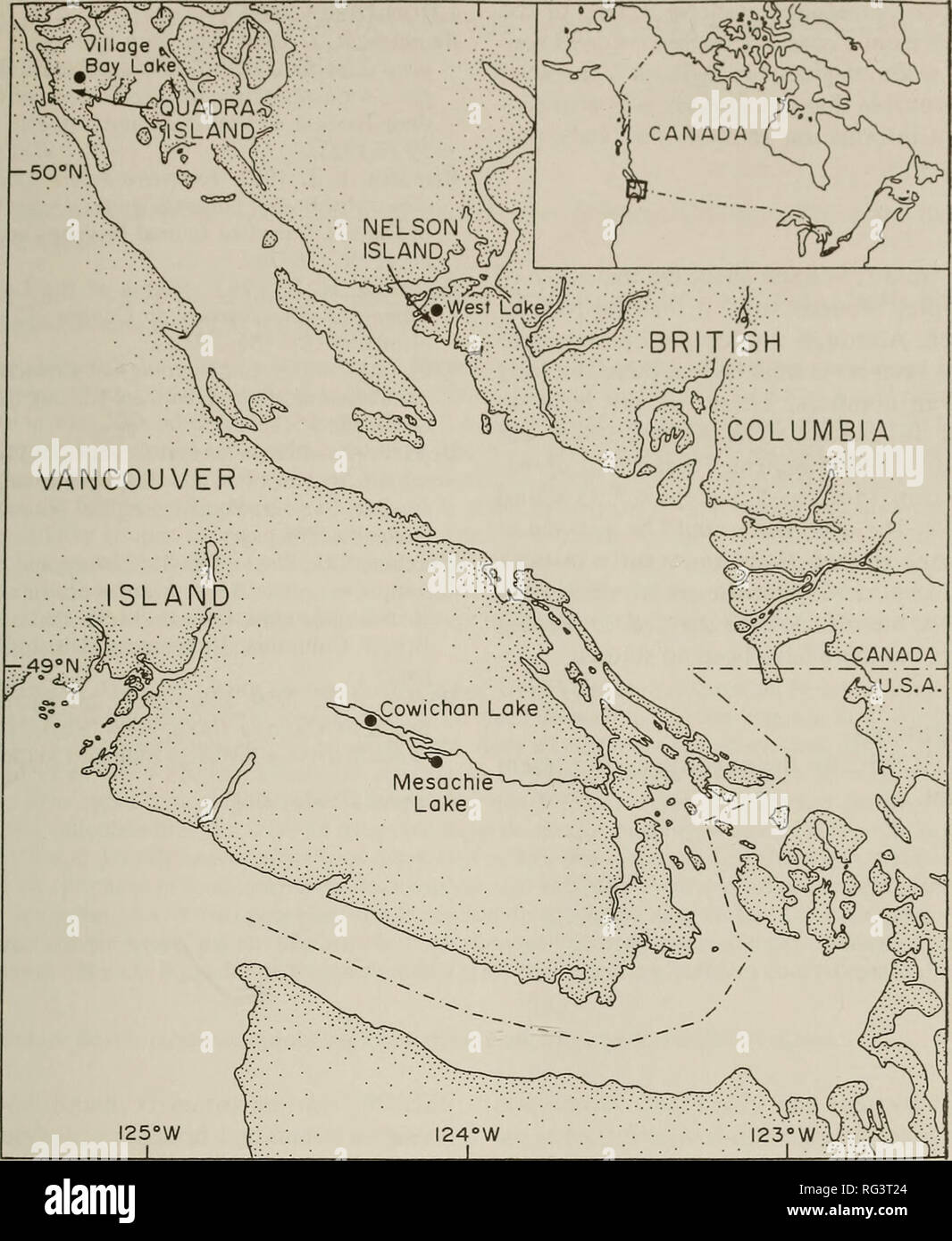 Pacific lamprey hi-res stock photography and images - Alamy
