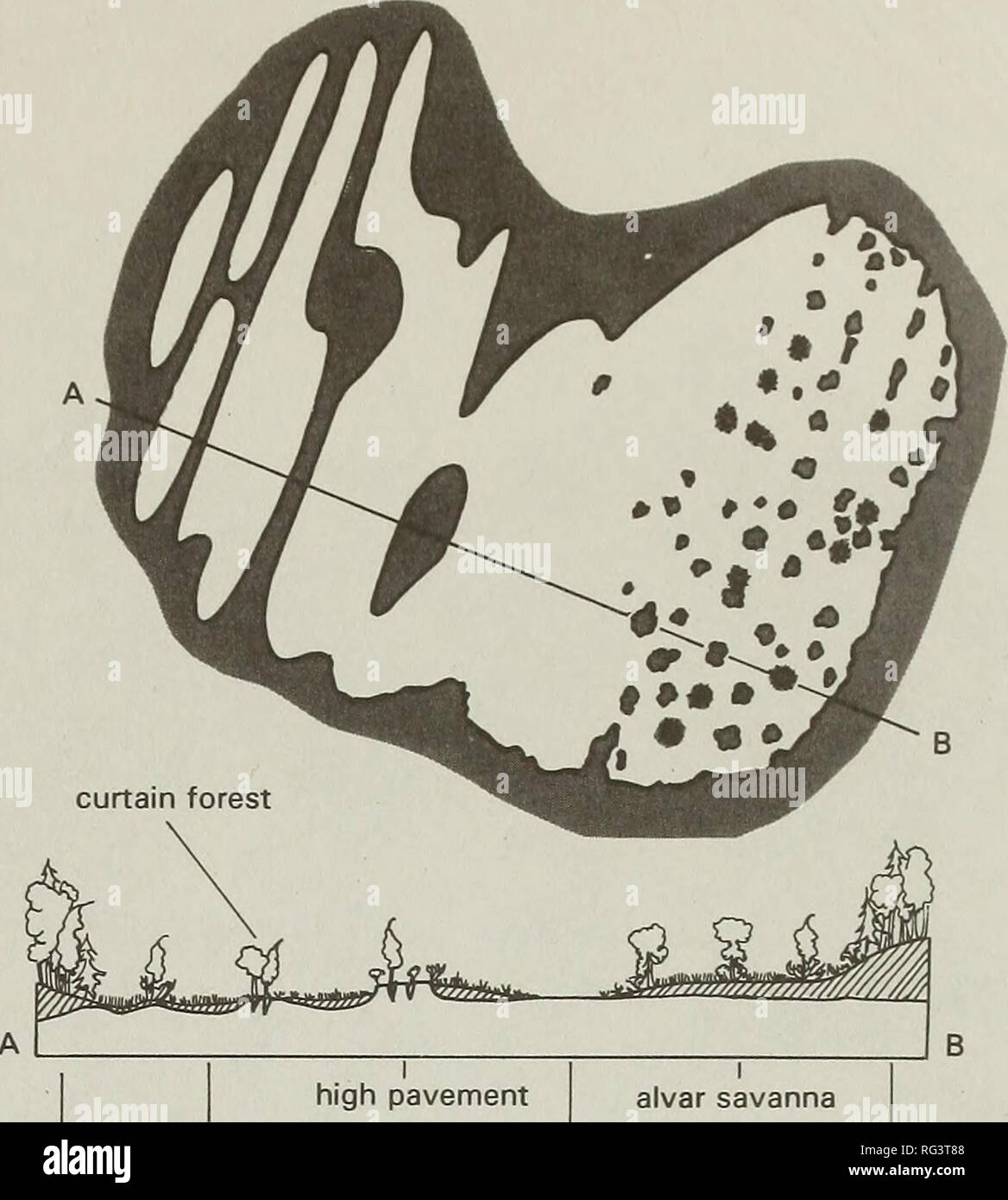 . The Canadian field-naturalist. Natural history. 1995 Catling and ...