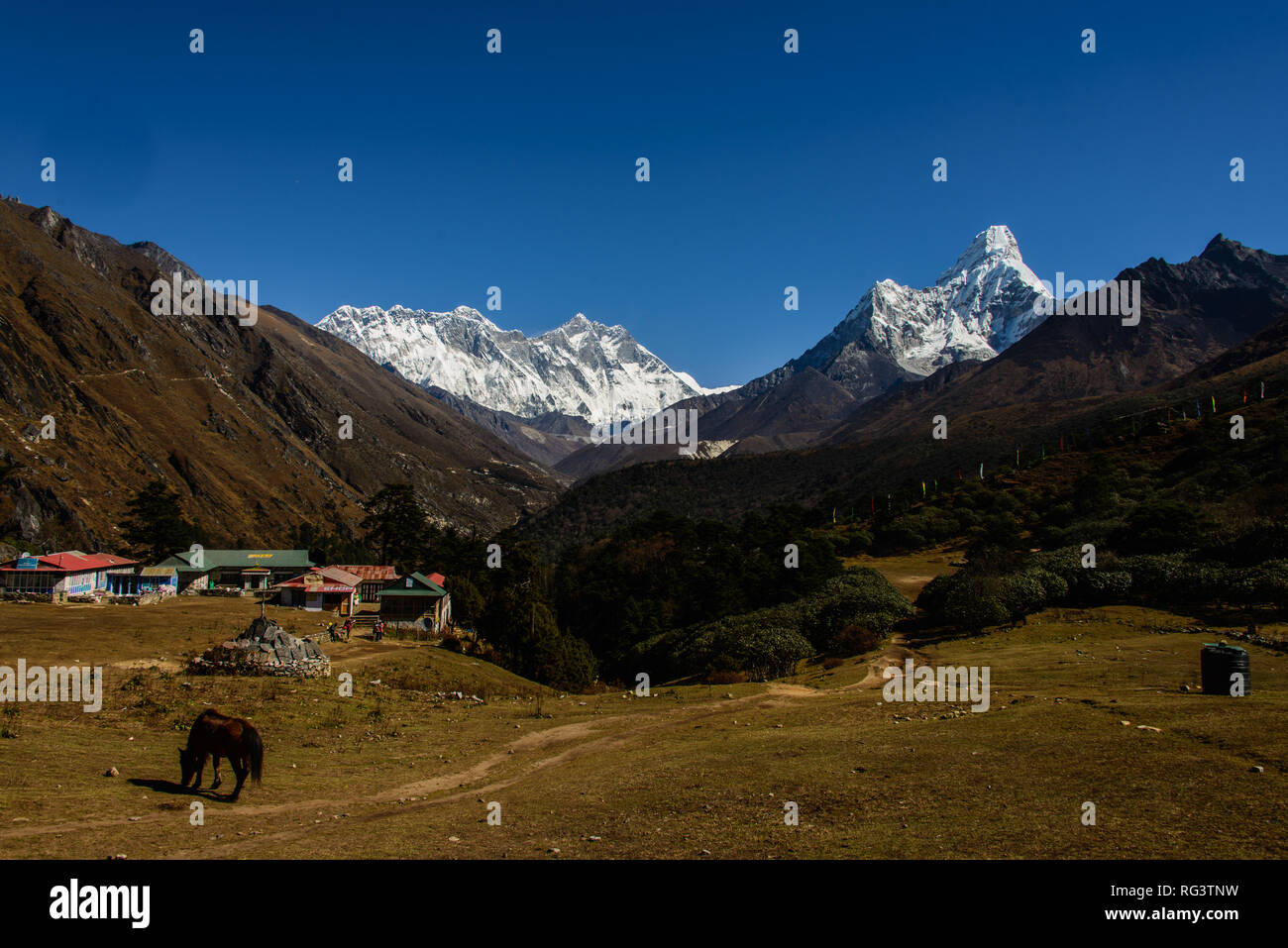Ama Dablam peak in Nepal Stock Photo - Alamy