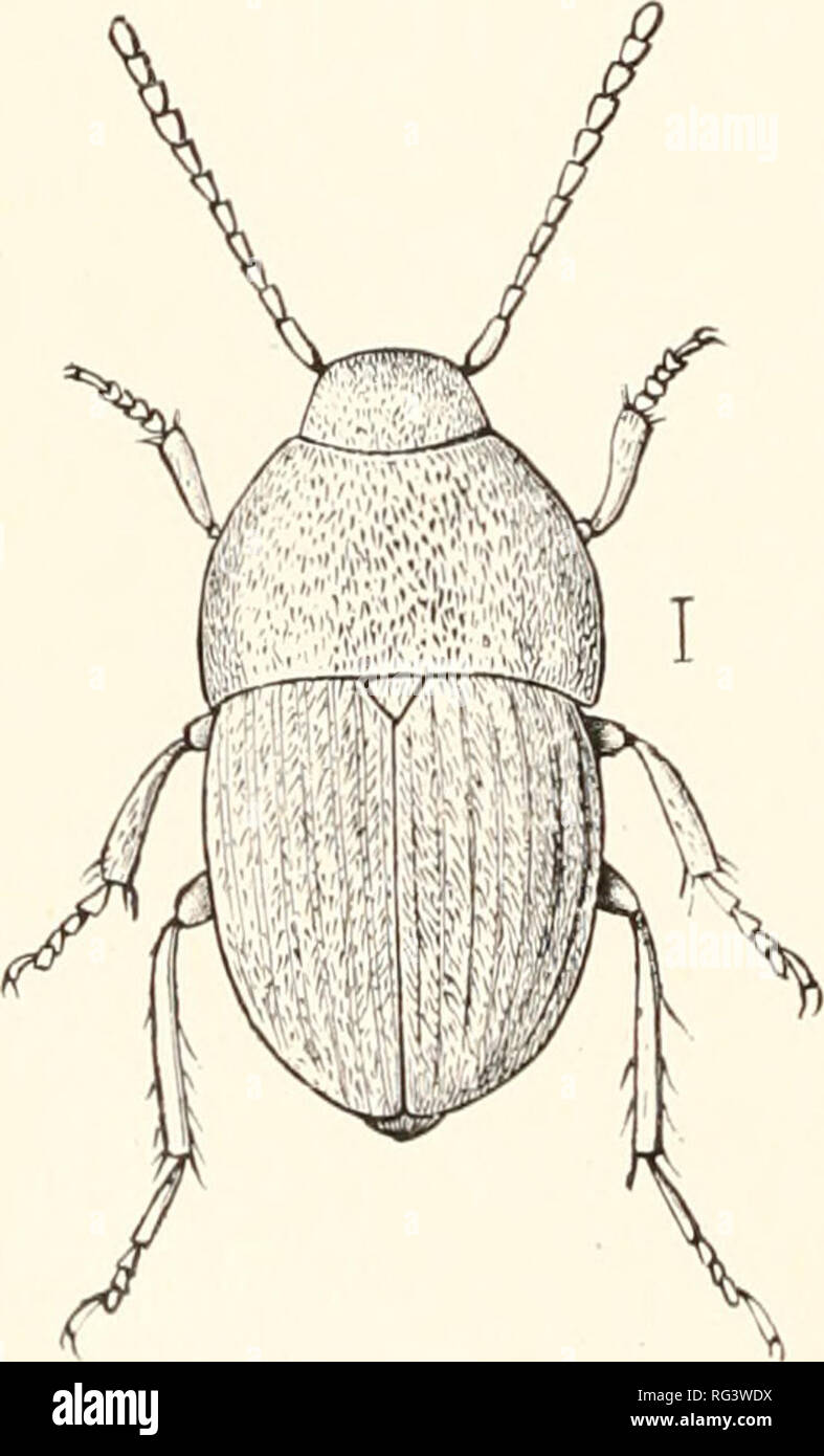 Upper westwood hi-res stock photography and images - Alamy