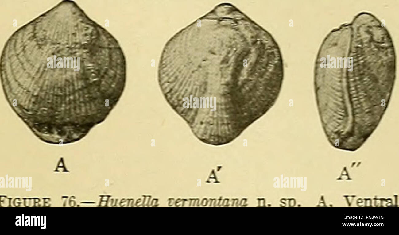 Convex forms hi-res stock photography and images - Alamy