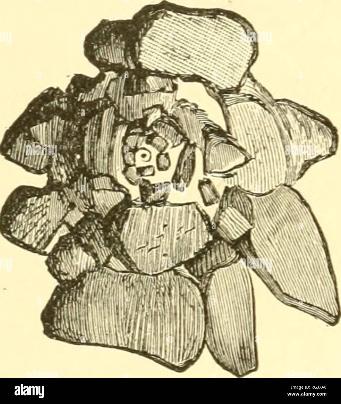 Challenger debris hi-res stock photography and images - Alamy