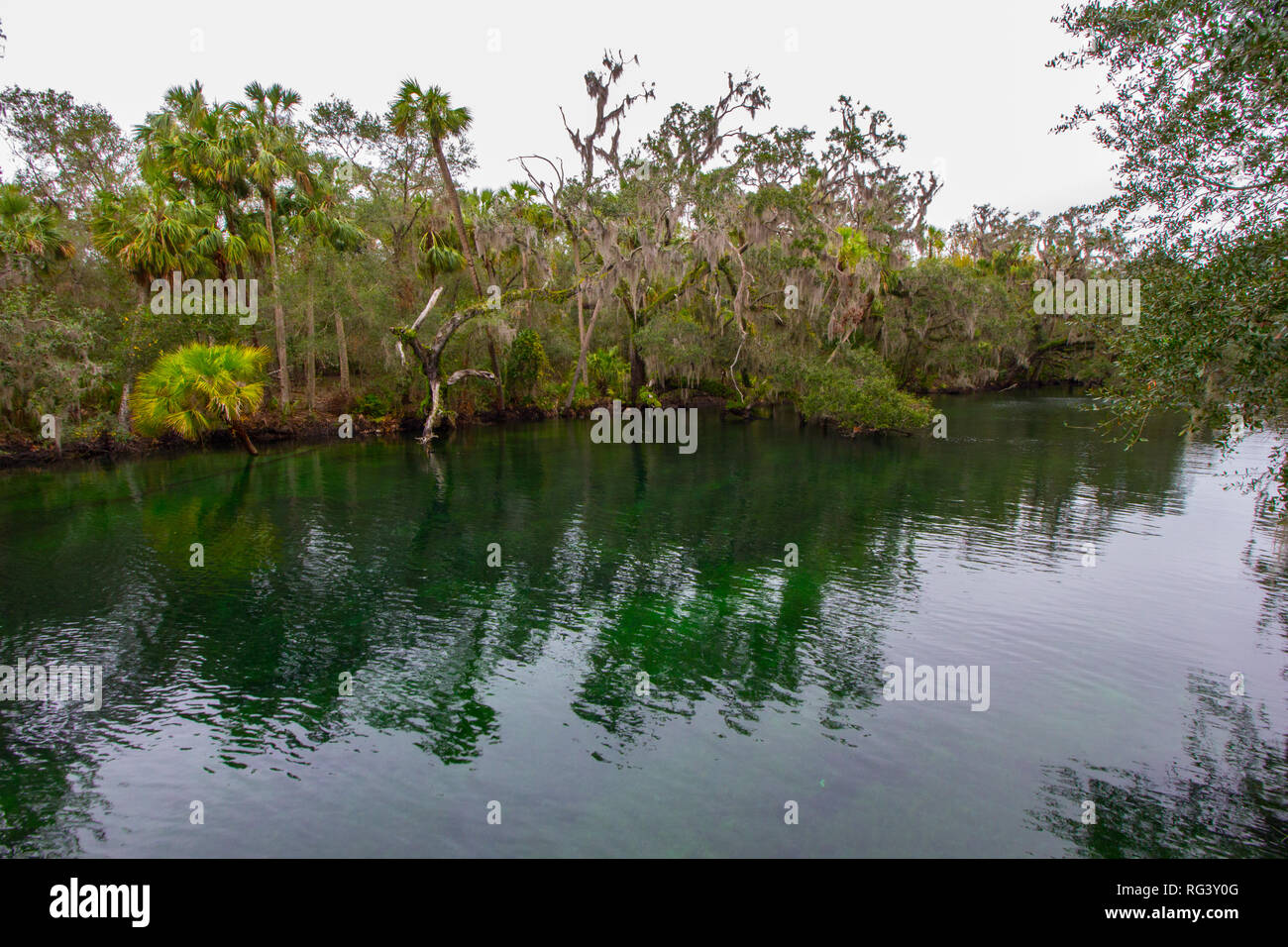 Blue Spring State Park, Florida Stock Photo - Alamy