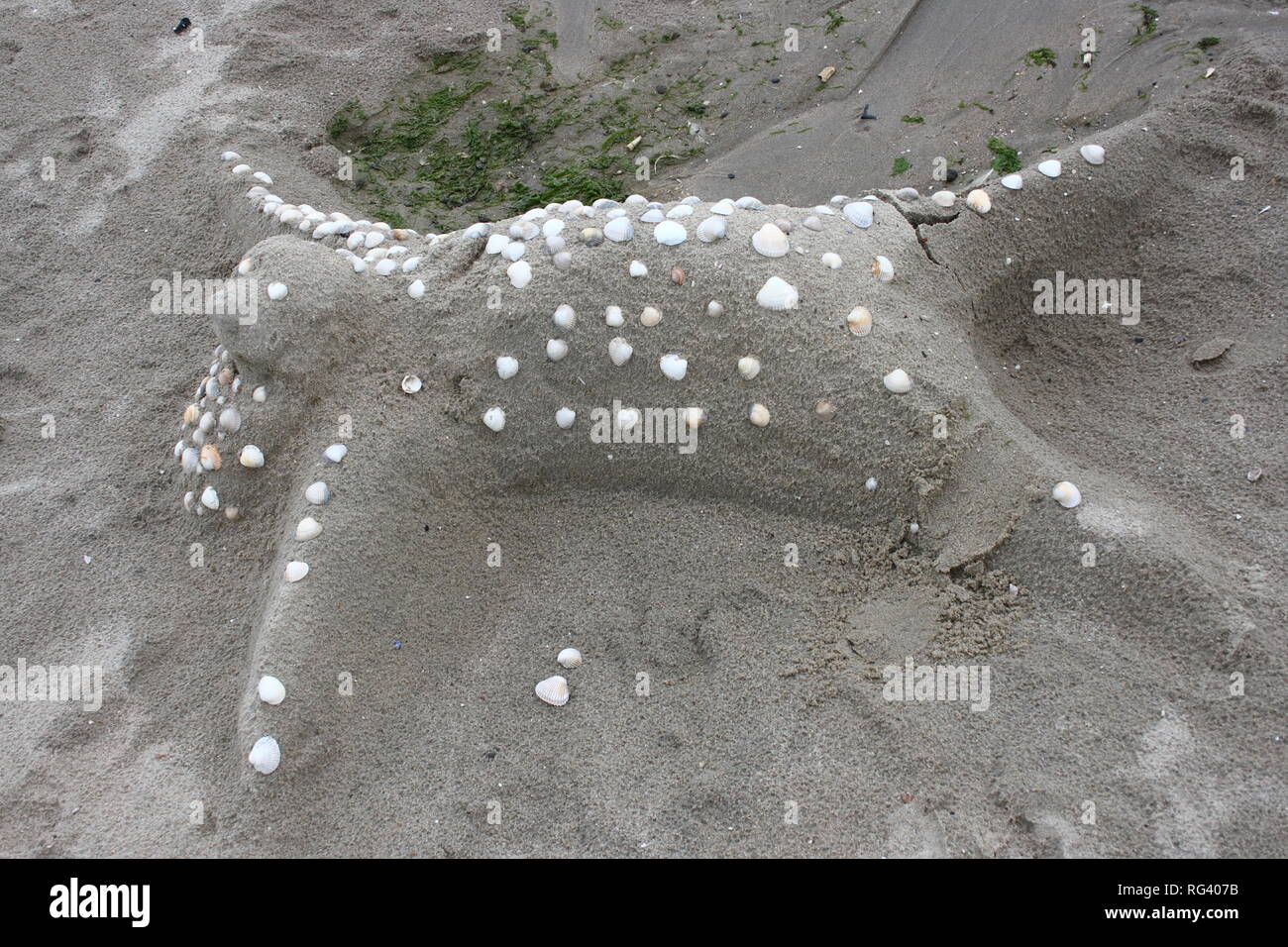 Profiled seal hi-res stock photography and images - Alamy