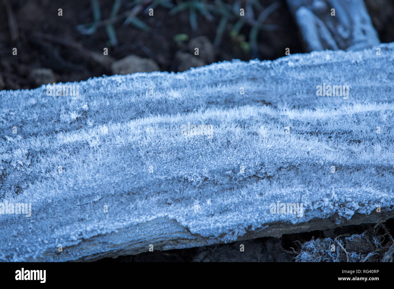 Frost photos hi-res stock photography and images - Alamy