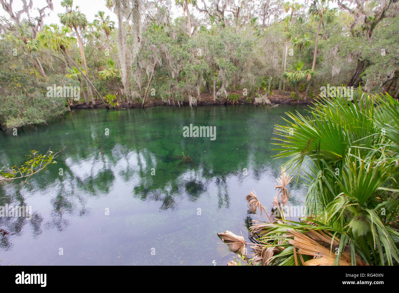 Orlando blue spring state park hi-res stock photography and images - Alamy