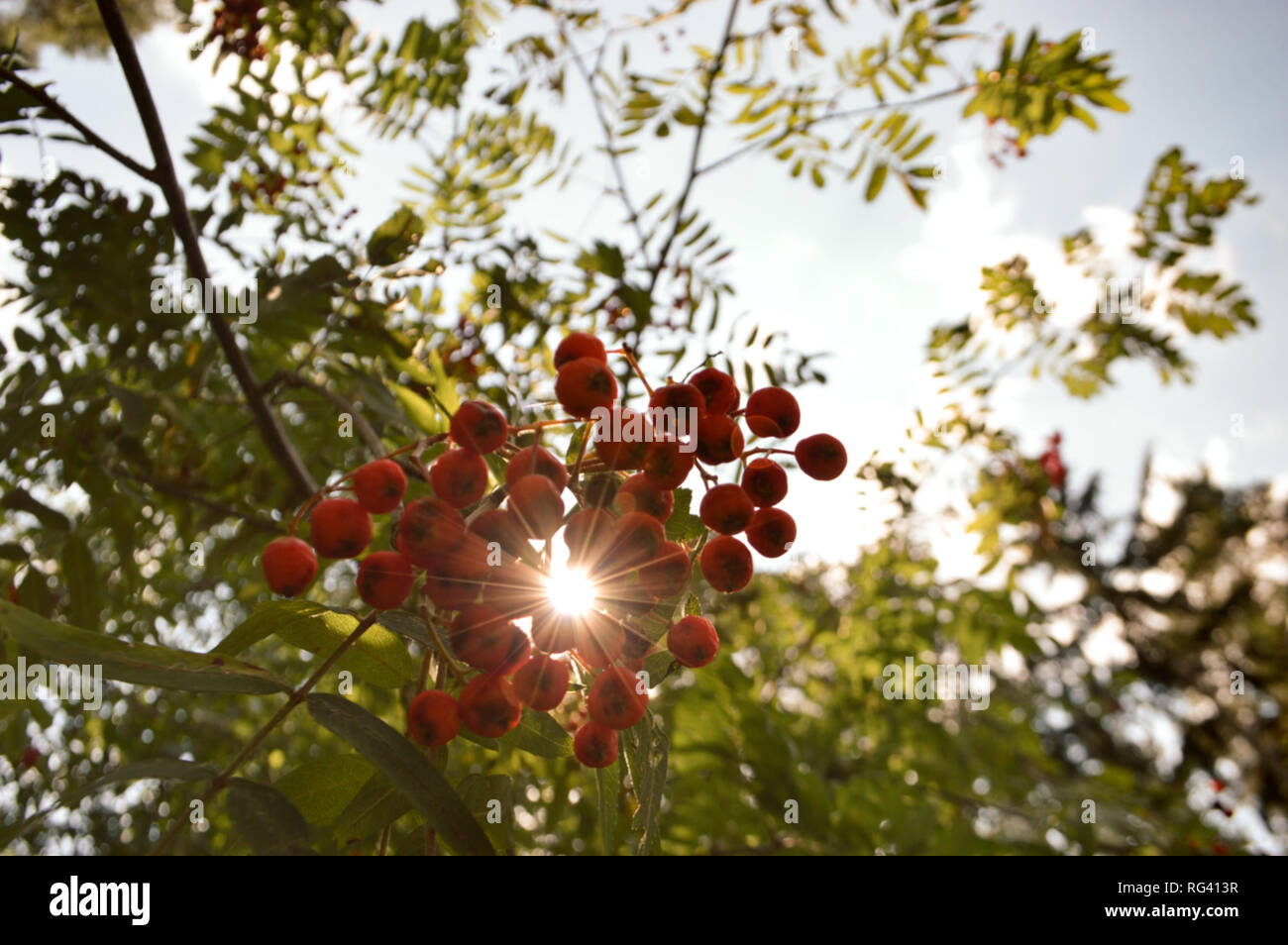 Light finds it way, always Stock Photo - Alamy