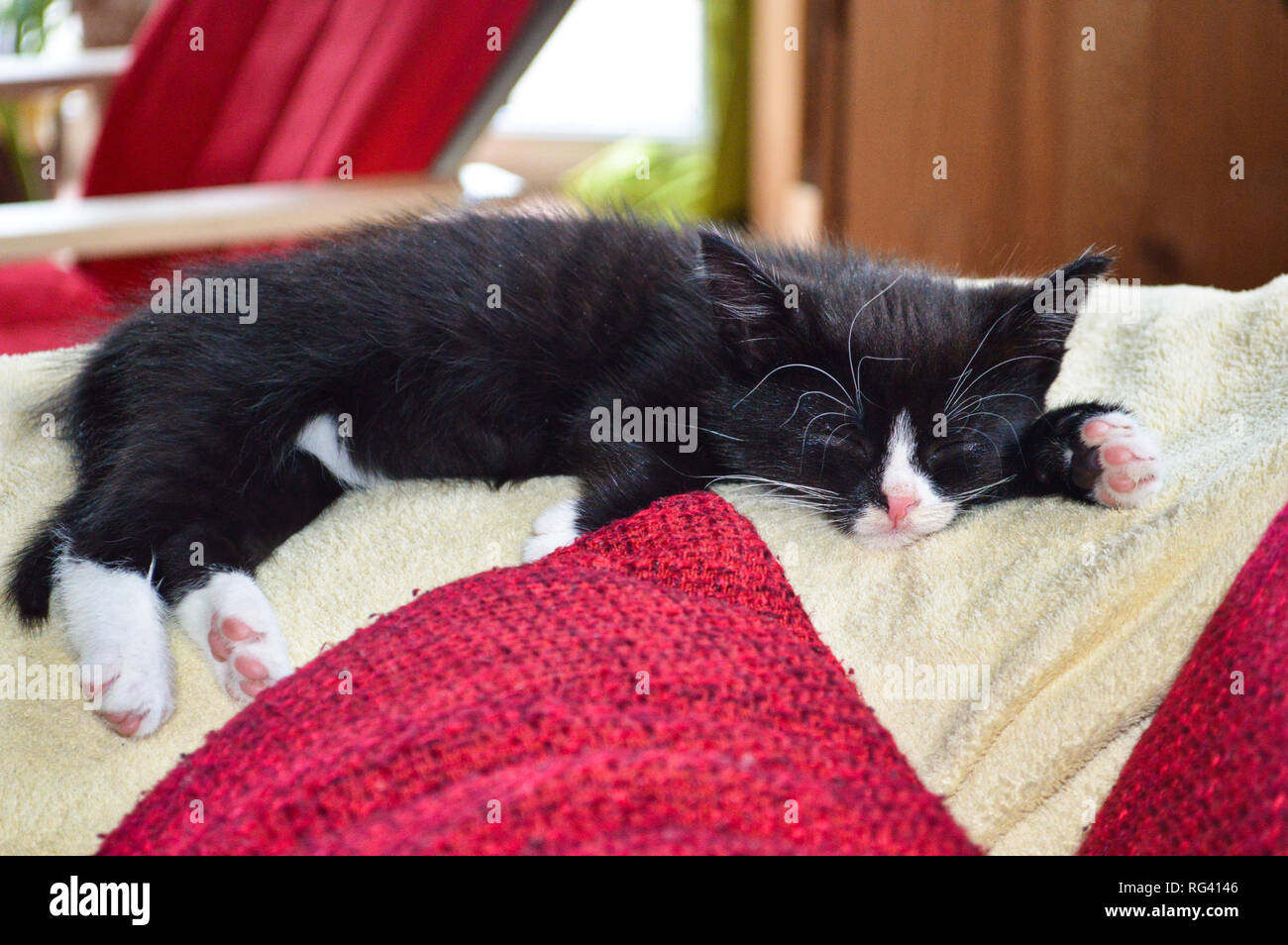 Sleepy head hi-res stock photography and images - Alamy