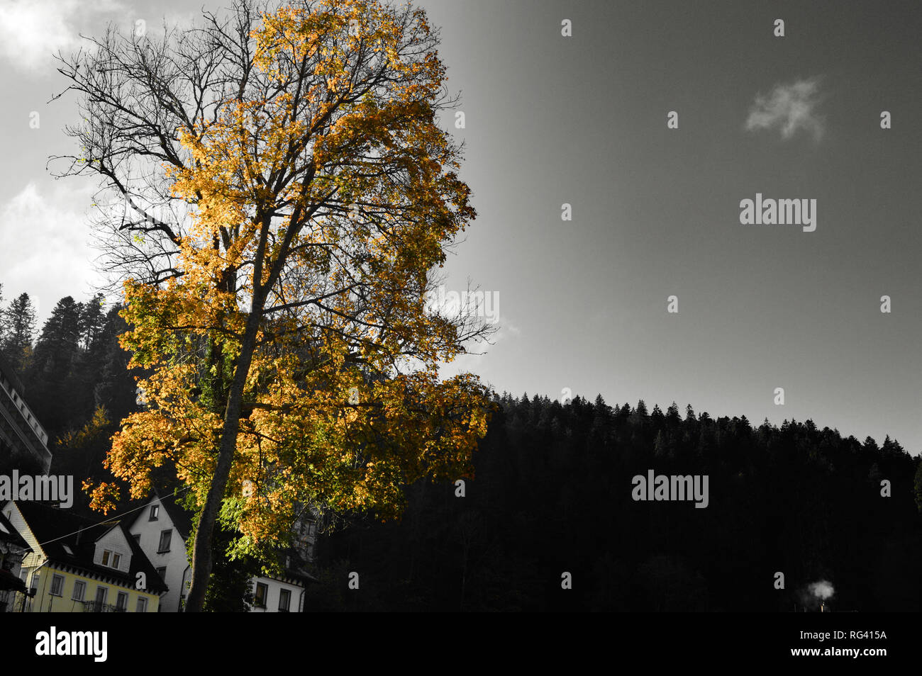 Imperfection hi-res stock photography and images - Alamy