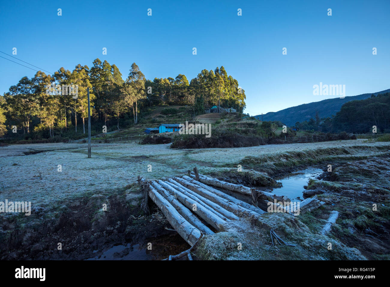 Frost in Munnar Stock Photo - Alamy