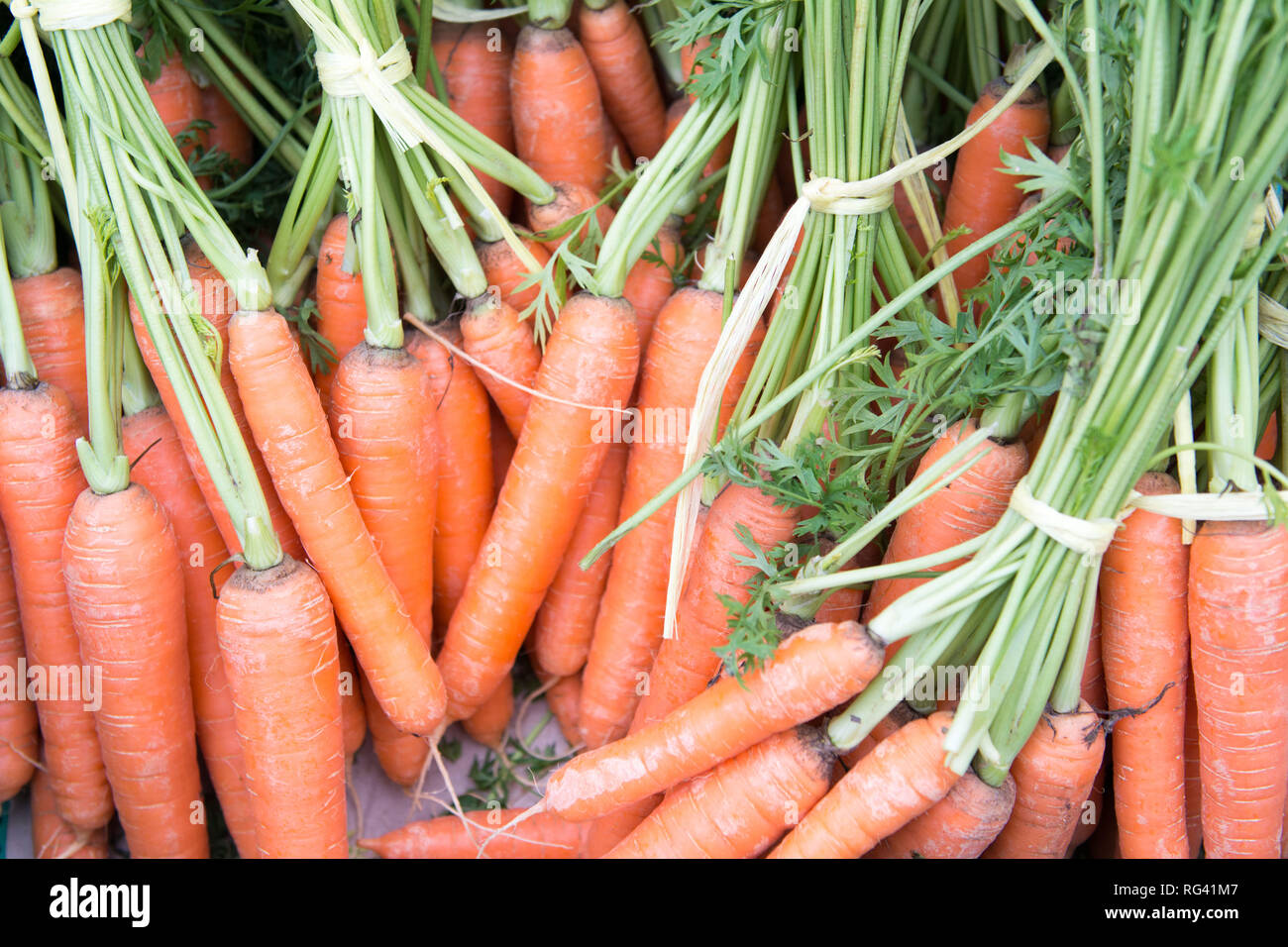 Close up display of bunched carrots for sale Stock Photo - Alamy