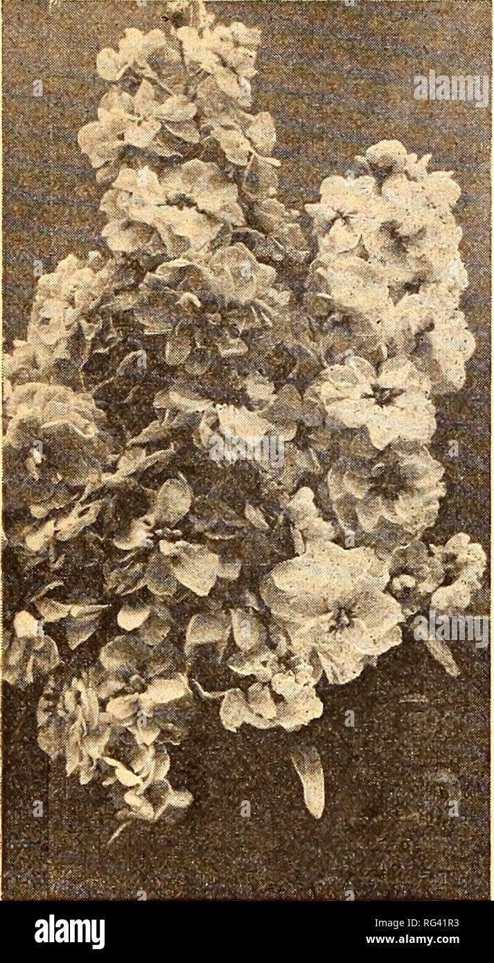 . California gardening. Nurseries (Horticulture) Catalogs; Flowers ...