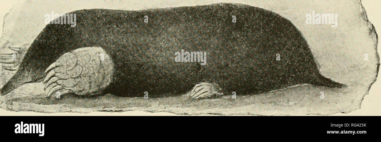 Ha sacramento hi-res stock photography and images - Alamy