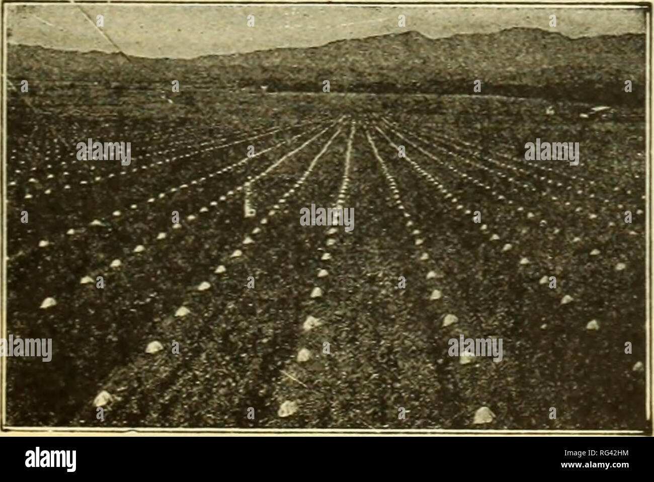 Hotkaps hi-res stock photography and images - Alamy